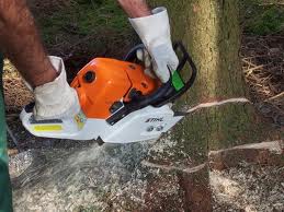 Stihl MS 361 40 STIHL