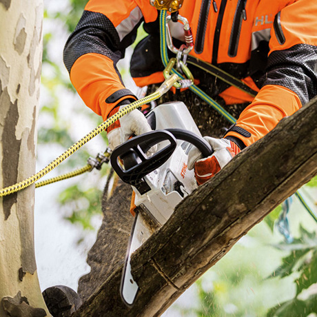 Stihl MSA 161 T STIHL